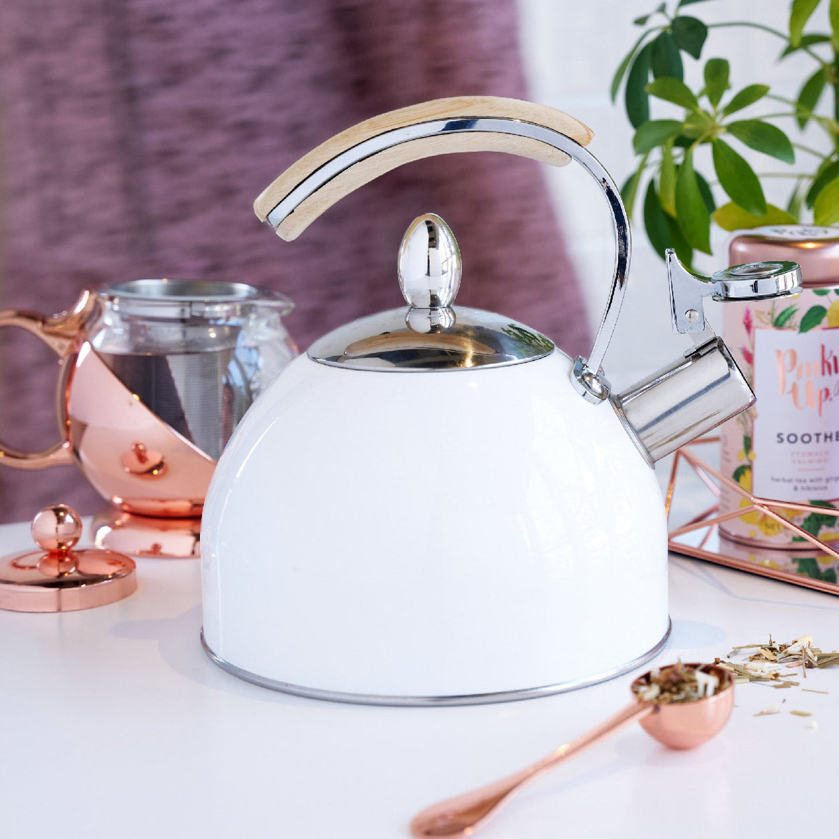 Kettles – True Brands